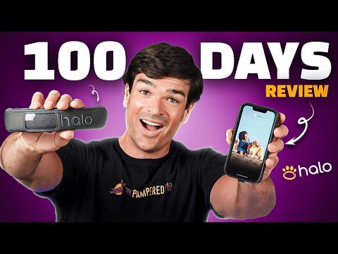 Halo 2+ Strikes Back! (Halo Collar Reviews—100 Days Later)