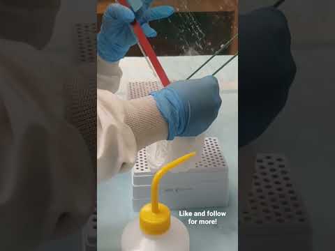 TEMED helps APS catalyze the reaction of polymeration.