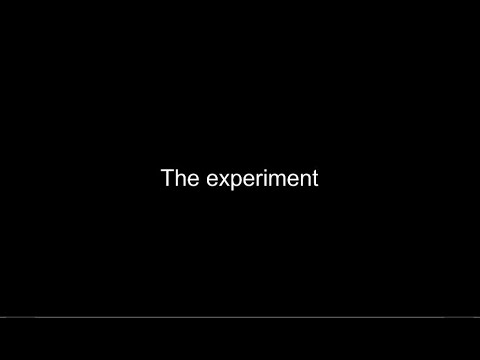 The experiment – The Great Experiment