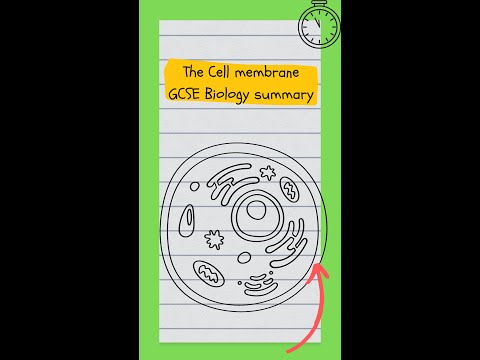 REVISION BITE: GCSE Biology (9-1) The Cell Membrane (Edexcel,AQA,OCR)