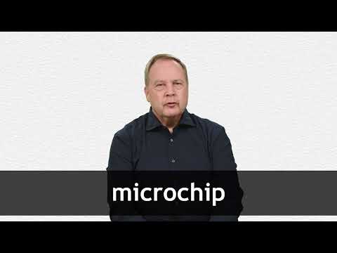 MICROCHIP definition and meaning | Collins English Dictionary