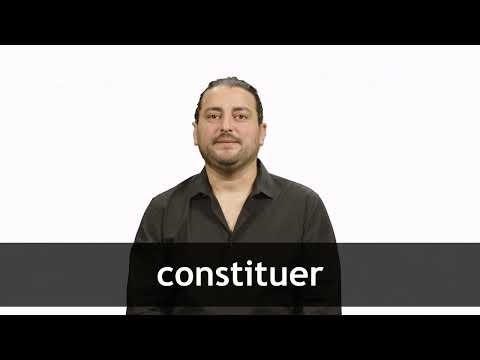 English Translation of “CONSTITUER” | Collins French-English Dictionary