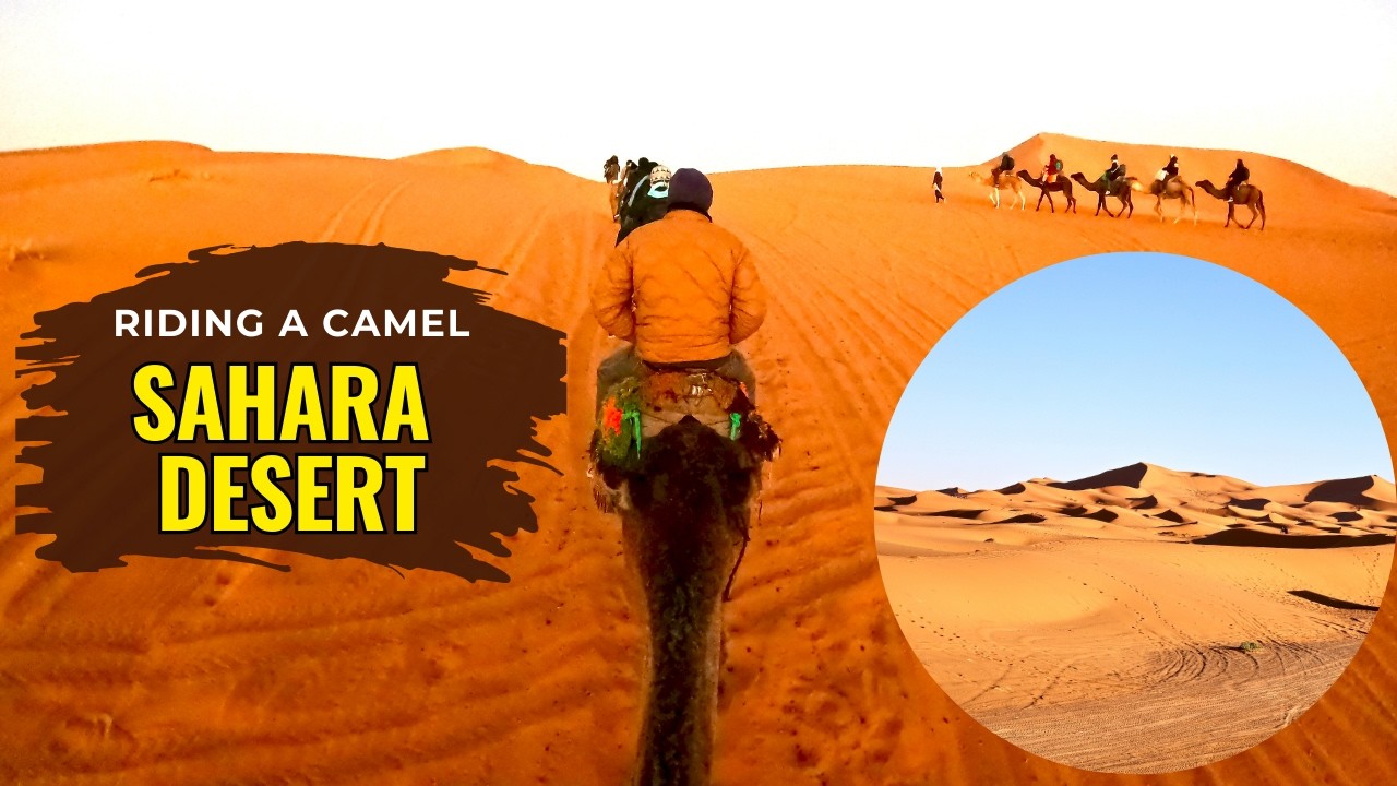 Sahara Desert Camel Trek – Erg Chebbi Dunes & Berber Camp Adventure! 🐪🌅