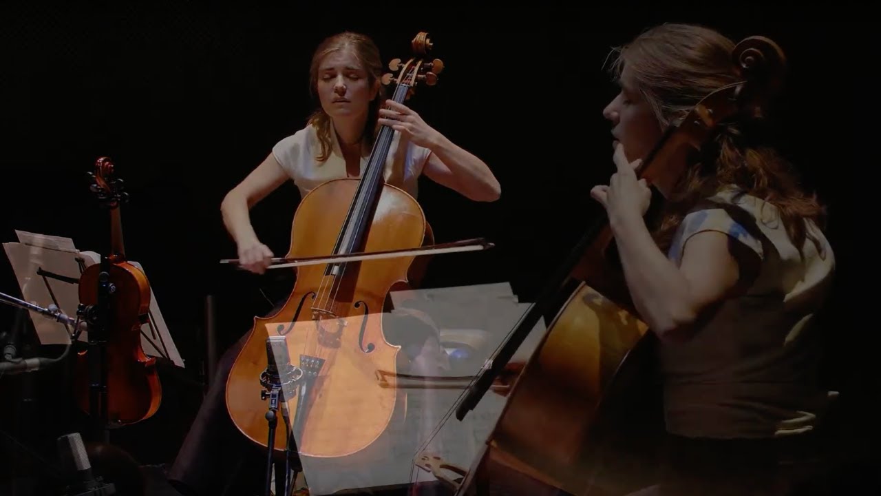 Any experimental cello artists here? (music, tips, tricks, etc ...