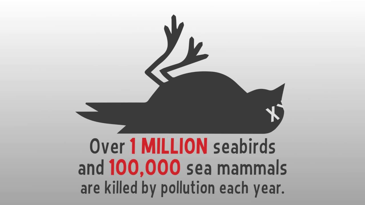 Waste & Pollution Animated Infographic
