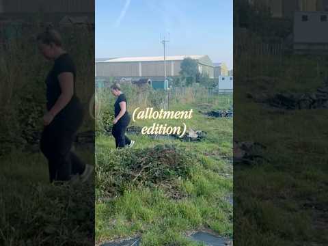Maintenance jobs on the allotment #compost #soil #allotment