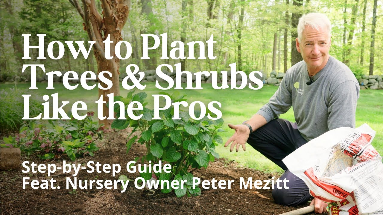 Planting Trees and Shrubs Like a Pro: Step by Step Guide - with Peter Mezitt