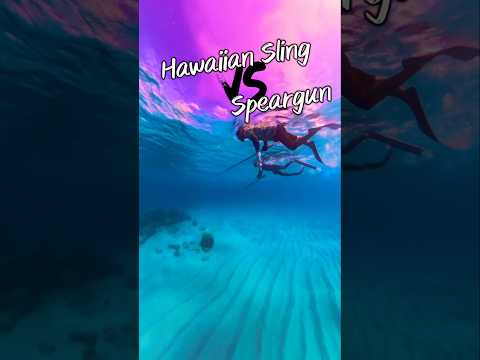 Hawaiian Slings vs Speargun