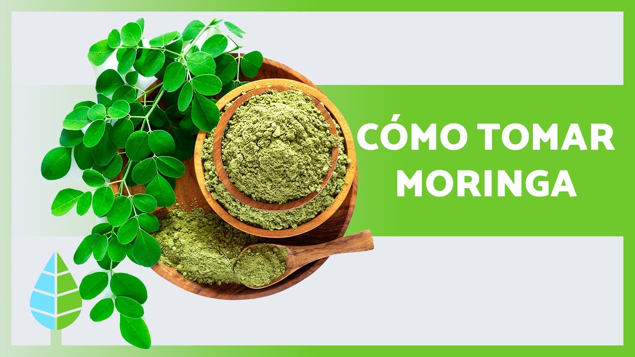 5 WAYS TO TAKE MORINGA 🌿 Benefit from its MEDICINAL PROPERTIES!