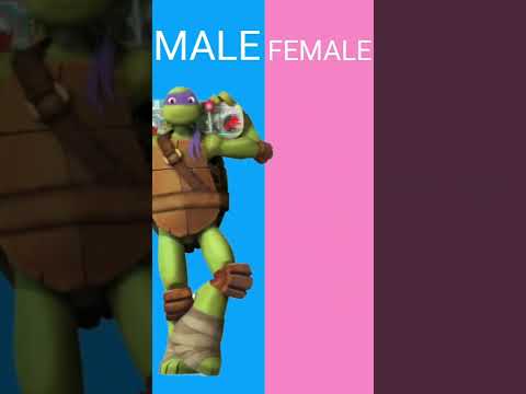 Genderswap edit #shorts Teenage Mutant Ninja Turtles