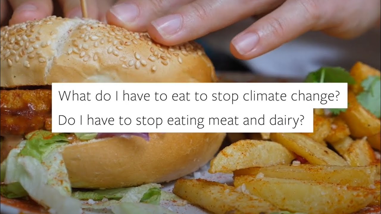 What do I have to eat to stop climate change?