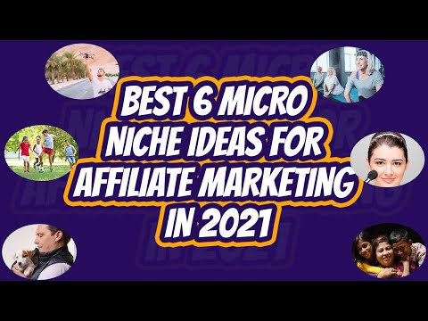Top 6 Best Affiliate Marketing Niches in 2021, Highest Paying Affiliate Programs, Micro Niche Topics