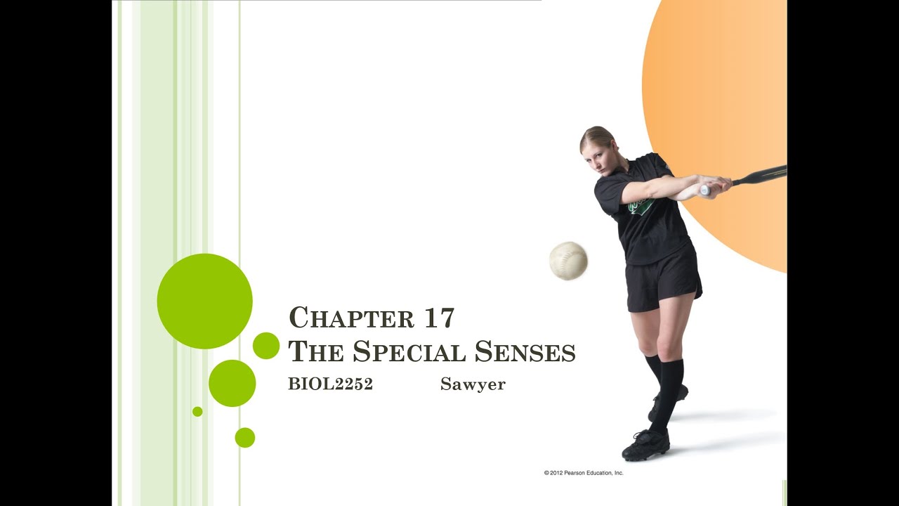 Chapter 17 Activity