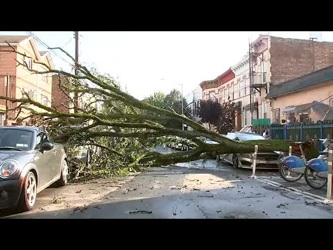 Debris cleanup to continue after thunderstorms topple trees, power lines