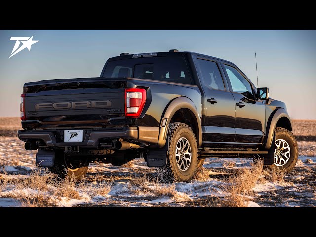 Truck Hardware Gatorback Anodized Raptor Mud Flaps - Set of 4 - Fits ...