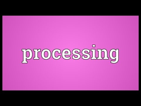 Processing Meaning