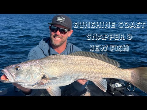 SNAPPER & JEW FISH off the Sunshine Coast