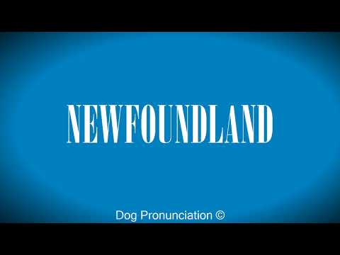 How to pronounce NEWFOUNDLAND