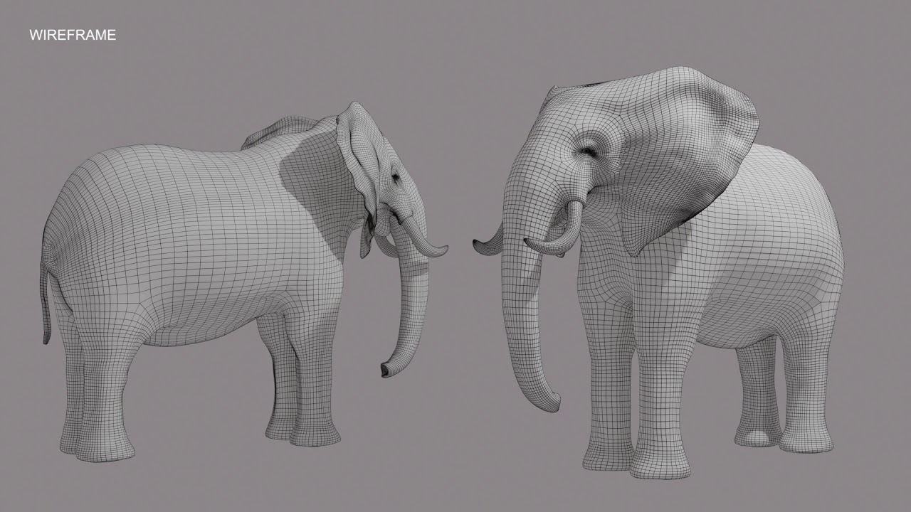 Elephant 3d model breakdown