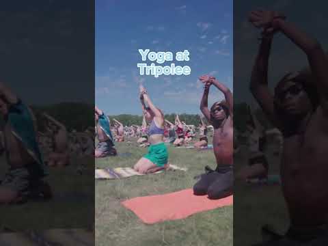 Features to Check Out at Electric Forest ⚡️🌲