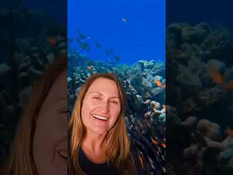 Are you interested in becoming a marine biologist?