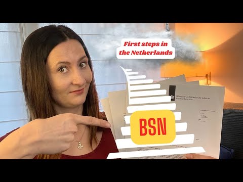BSN Number in the Netherlands | Full Guide