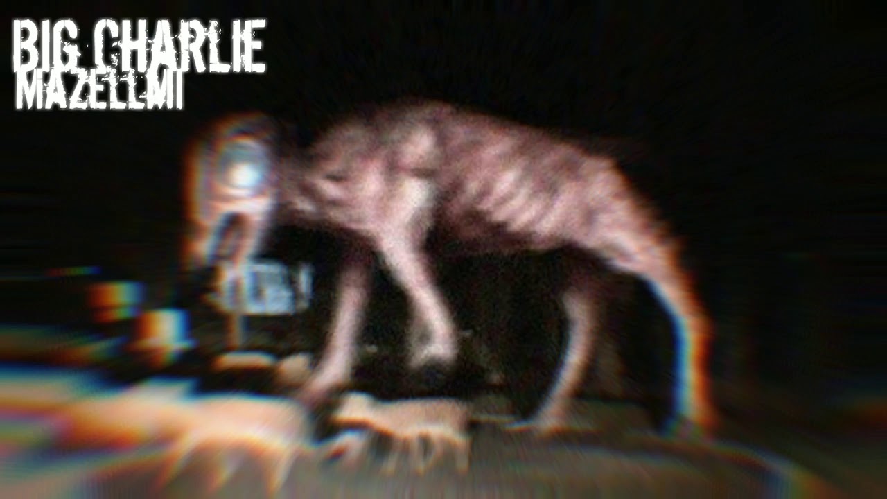 Big Charlie sounds