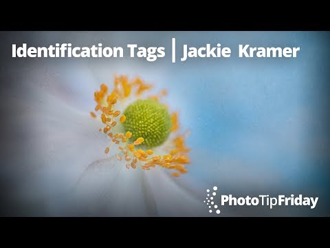 Identification Tags with Jackie Kramer | Photo Tip Friday