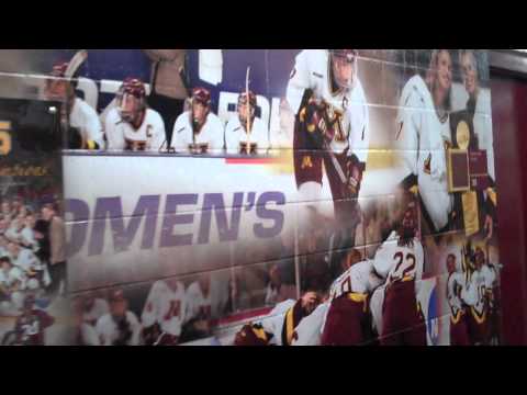 Ridder Arena new murals