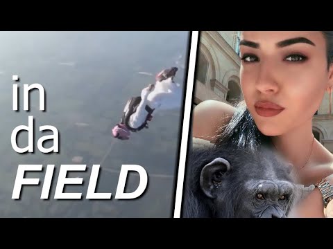 In Da Field Episode 1 - The North Korean Zoo and More