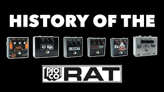 Pro Co RAT - What To Know & Where To Buy | Equipboard