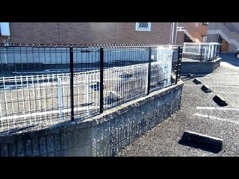 Superfluous Fences in Japan!