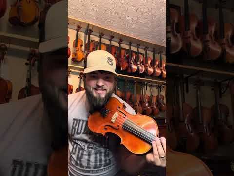 Unbelievable Waterfall Shell Maple Handmade 5-String Violin | Reverb