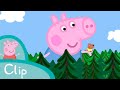 George Giant Pig Peppa Pig Watch HD Mp4 Video Download Free