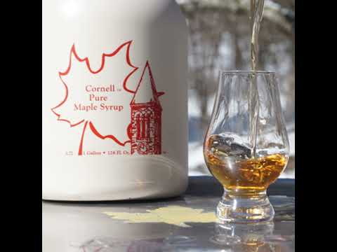 Episode 14: Sweet Talk about Product Development - Introducing Mappleau, a Maple Liqueur