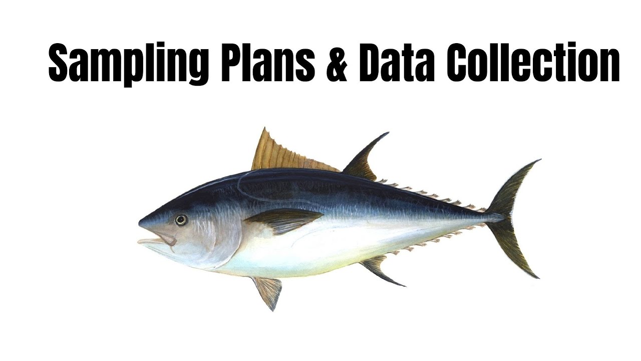 Sampling Plans and Data Collection