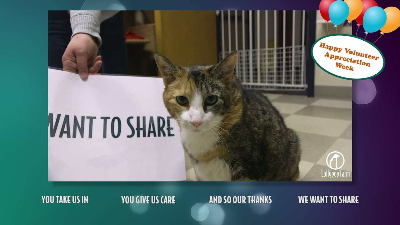 Happy Volunteer Appreciation Week!