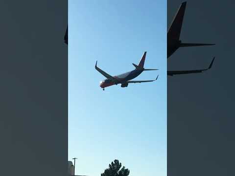 Sun Country airlines coming in with crosswinds #fyp #plane #planespotting