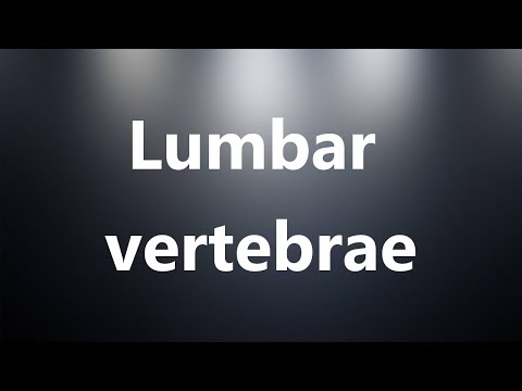 Lumbar vertebrae - Medical Definition and Pronunciation
