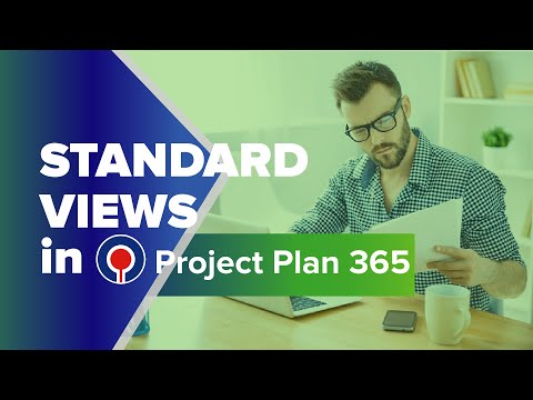 Project Plan 365 - Standard Views