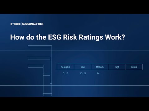 How Do the ESG Risk Ratings Work?