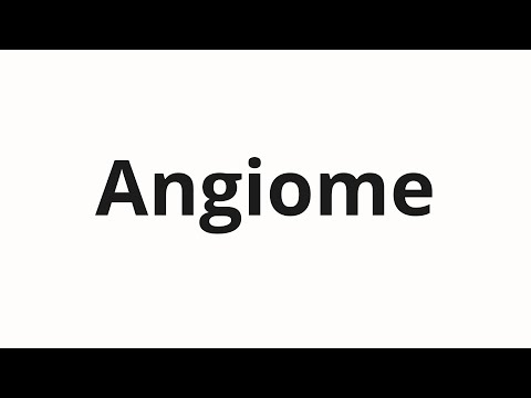 How to pronounce Angiome