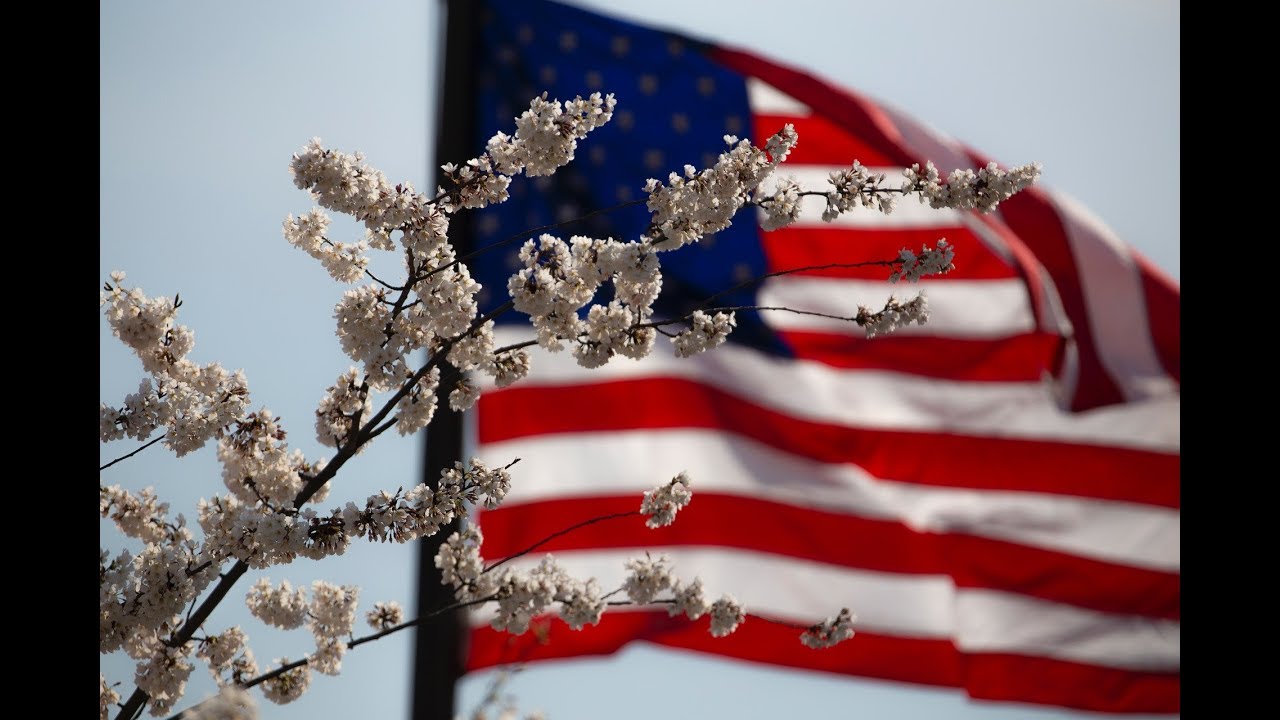 Safety Tips for Memorial Day Weekend