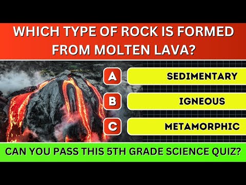 Can You Pass This 5th Grade Science Quiz? | Test Your Knowledge