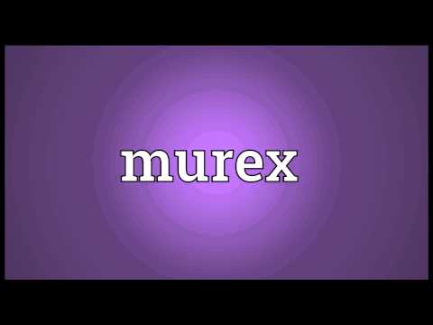 Murex Meaning