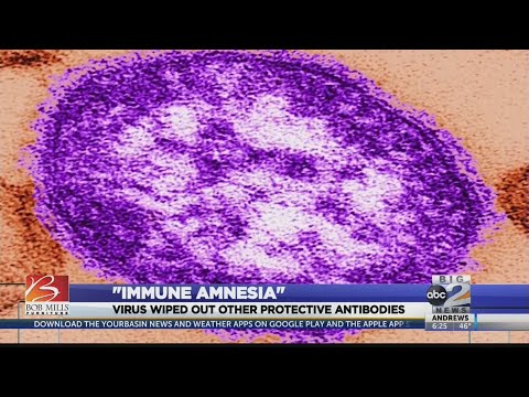 Measles virus creates "immune amnesia"