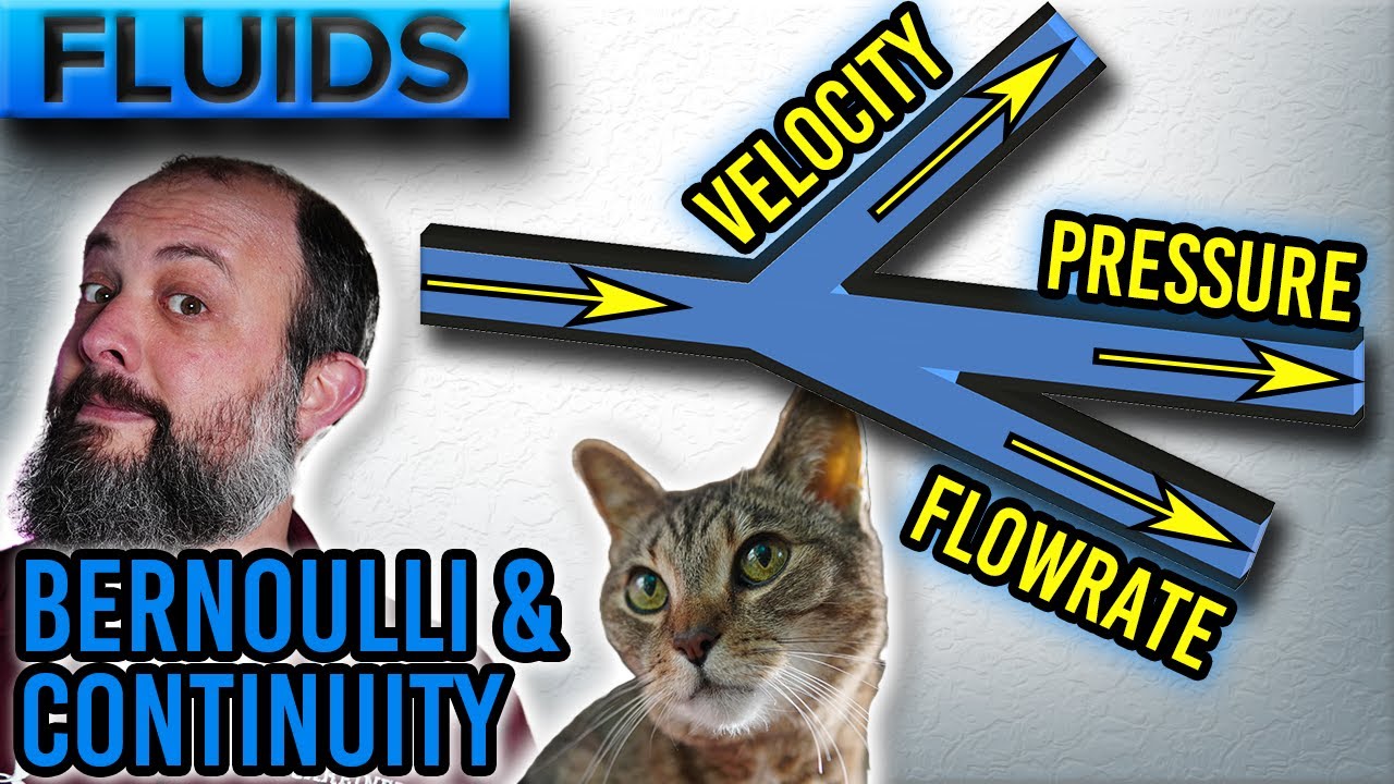 Branching Pipe Flow - Bernoulli Equation and Continuity Equation Example Problem