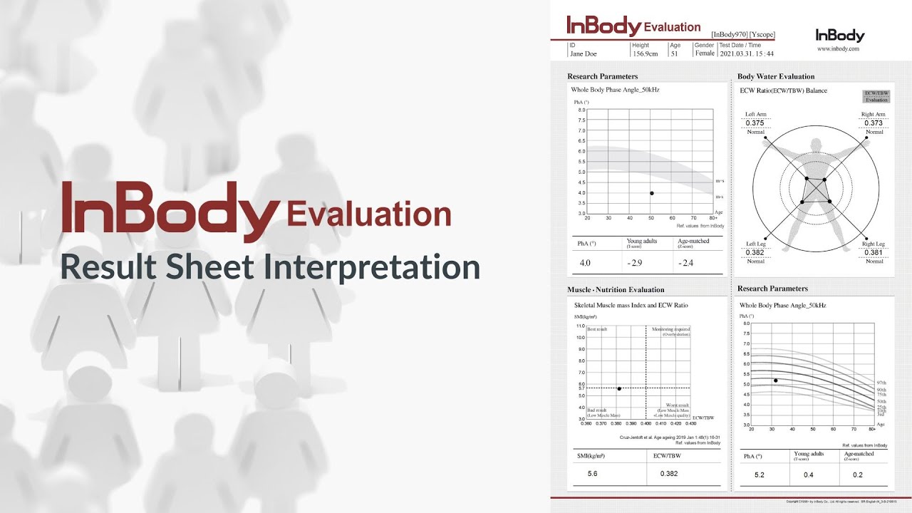 InBody Evaluation Result Sheet Interpretation