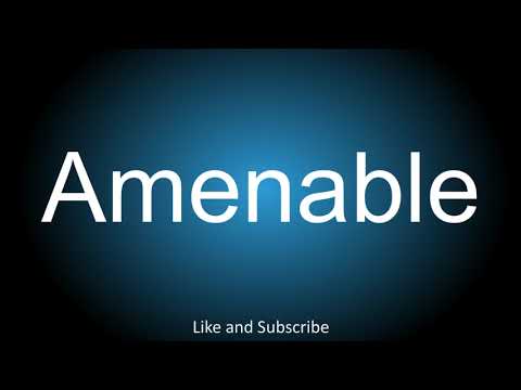 How to correctly pronounce - Amenable.