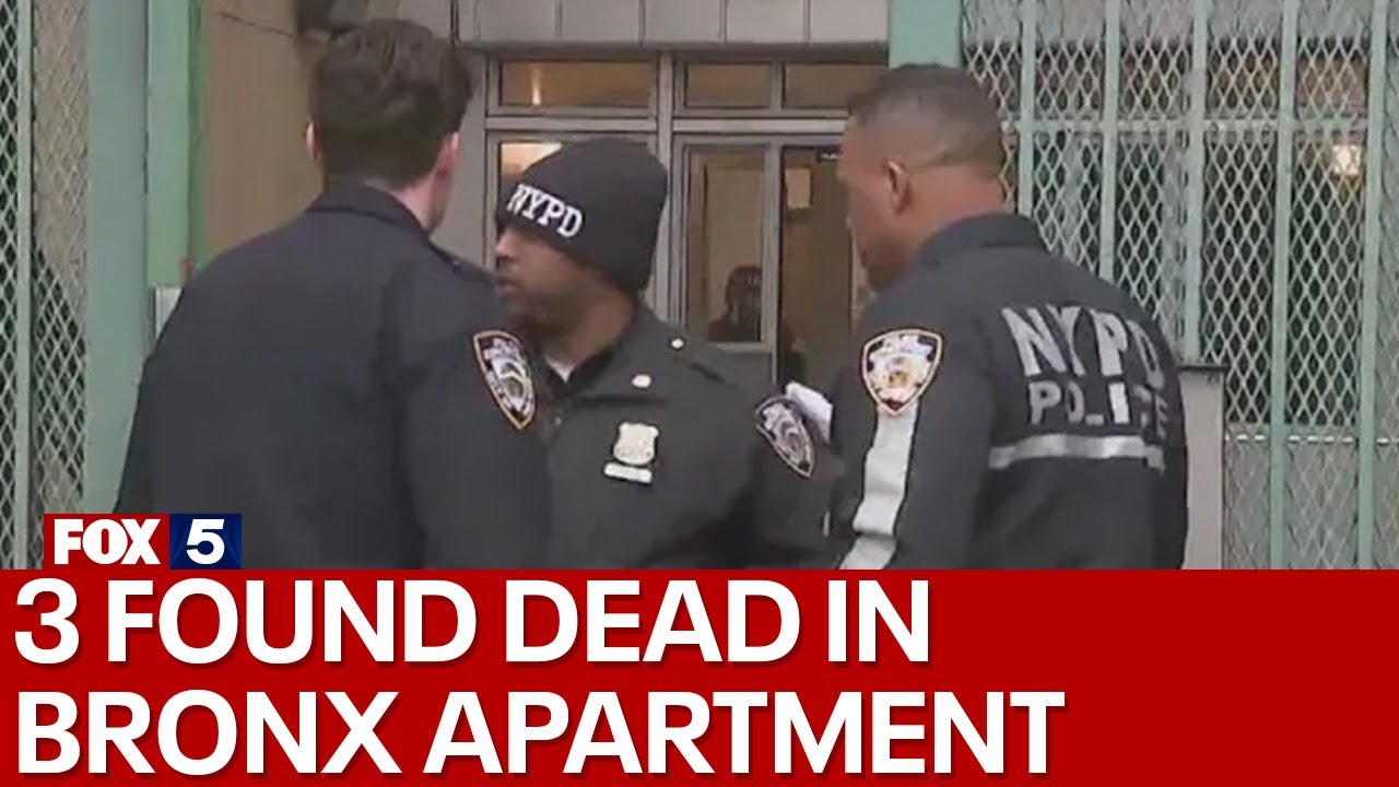 3 found dead including 5-year-old in Bronx apartment building